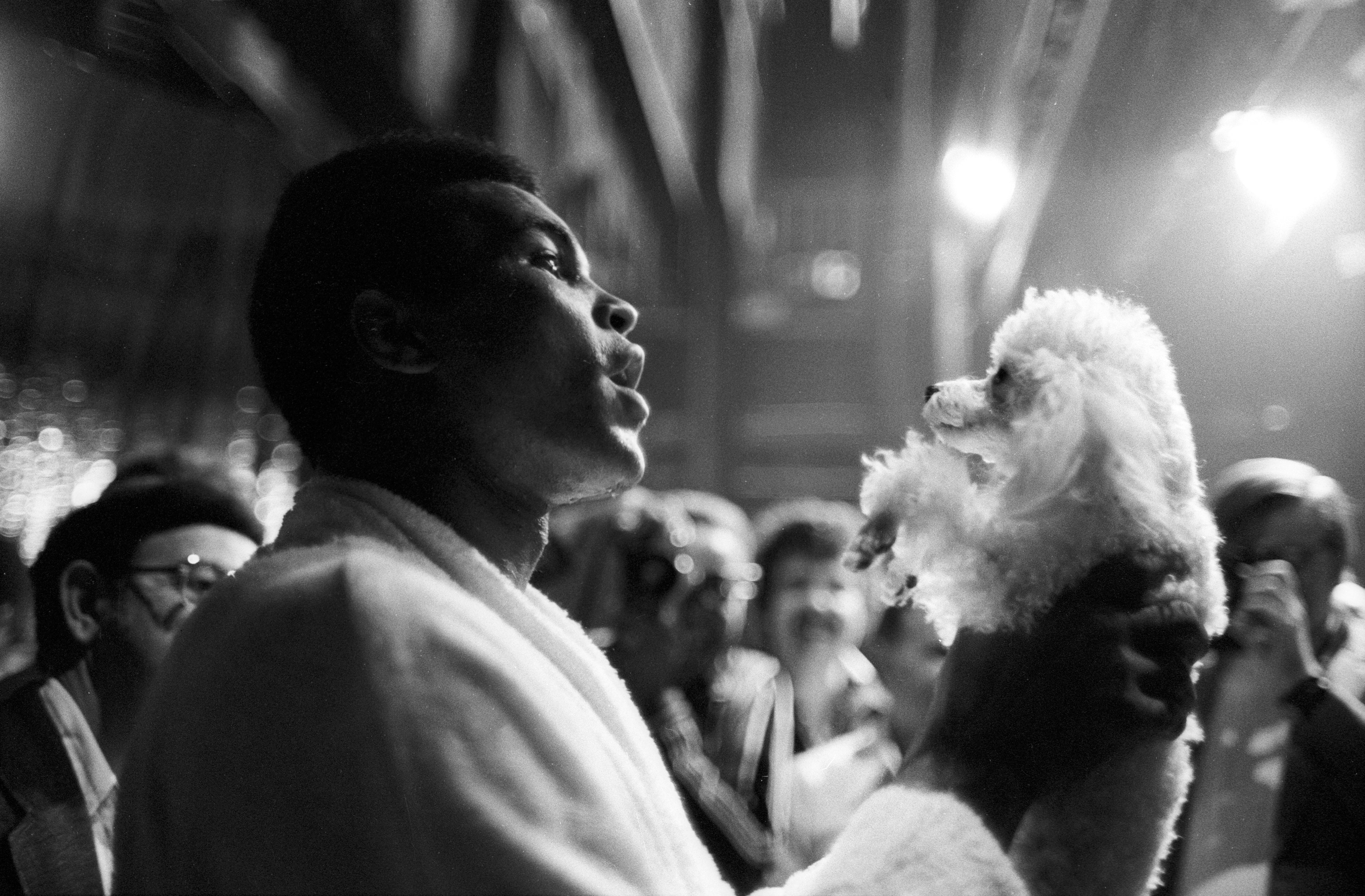 Muhammad Ali with Dog, Training for Joe Bugner Fight | Neil Leifer ...